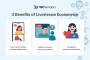 Livestream ECommerce: Examples & How To Start In 2025